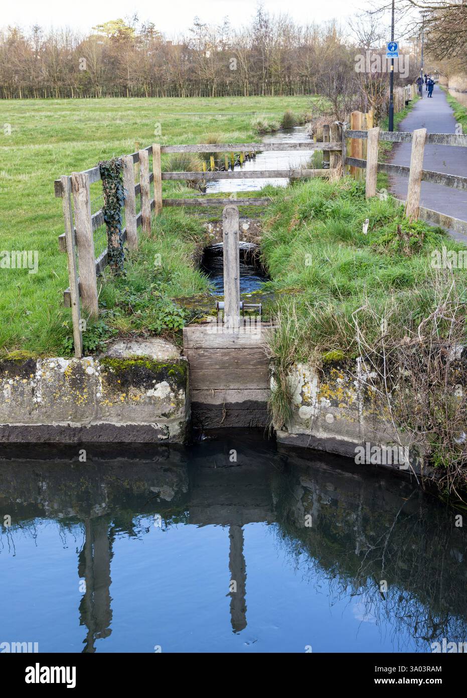 Harnham Water Meadows are a Site of Special Scientific Interest which ...