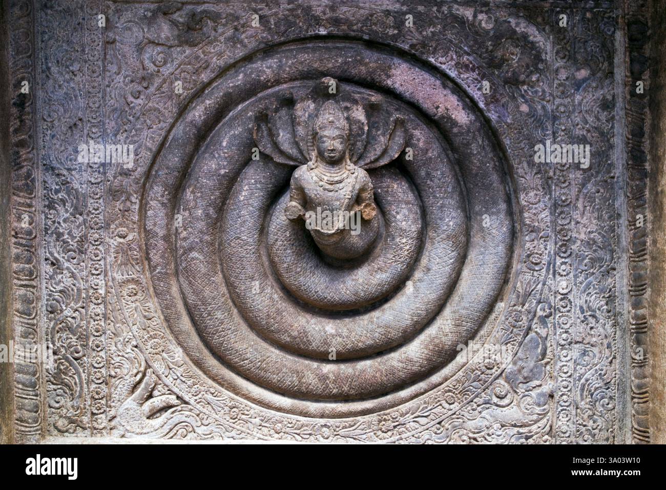 Coiled serpent, ceiling carving in cave one, Badami, Karnataka, India ...