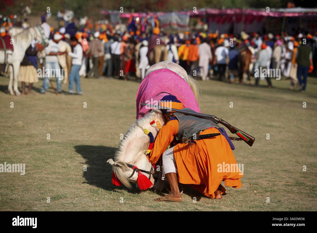 Nihang or Sikh warrior with rifle and horse during the Hola Mohalla ...
