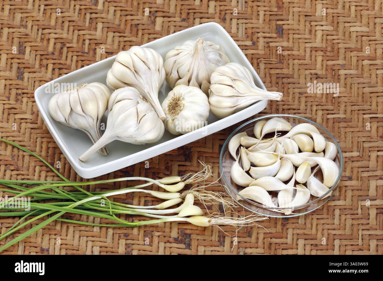 Vegetable, spices, Garlic Latin Allium Sativum, India, Asia Stock Photo ...