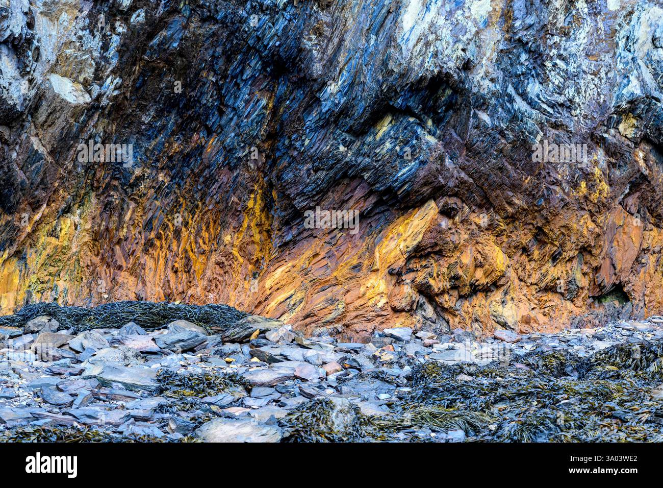 A band of iron rich rock at the bottom of a cliff at a beach. Seaweed ...