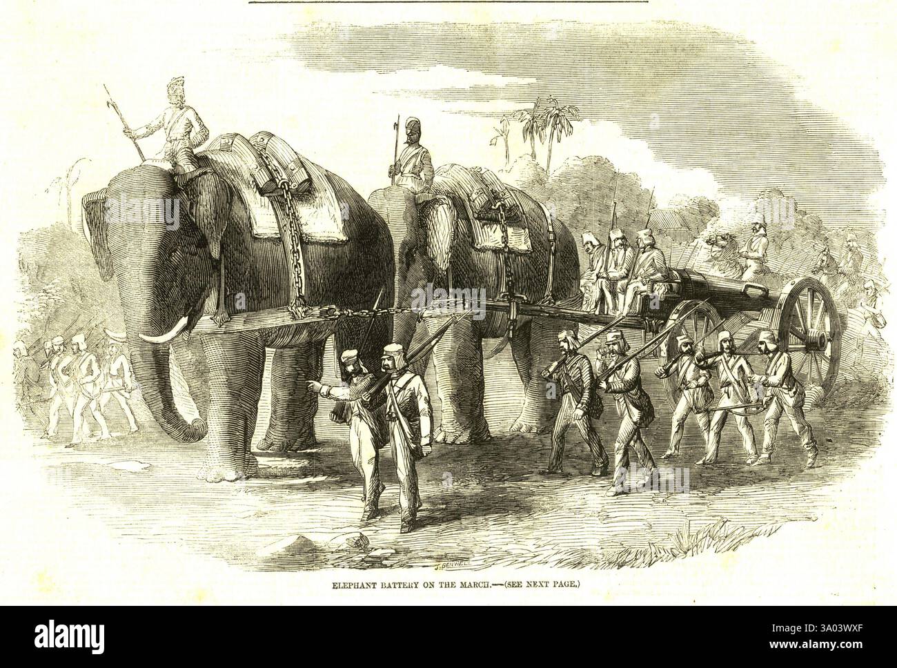 Military and munity mutiny views elephant battery on march, India, Asia ...