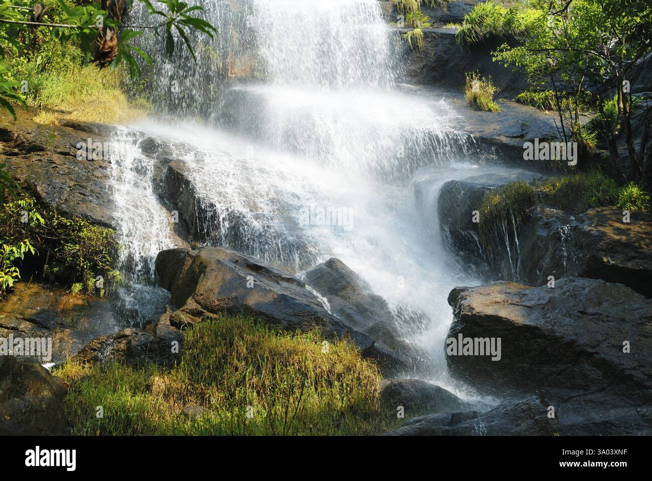 A waterfall during monsoon near Coonoor, Nilgiris, Tamil Nadu, India ...