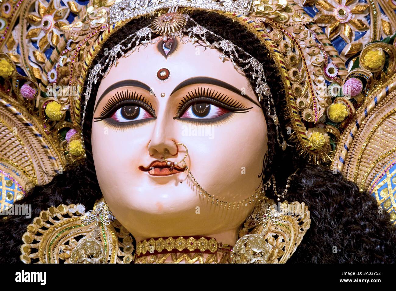 Profile of Mother goddess Durga image as Jagadhatri, Calcutta, West Bengal, India, Asia Stock ...