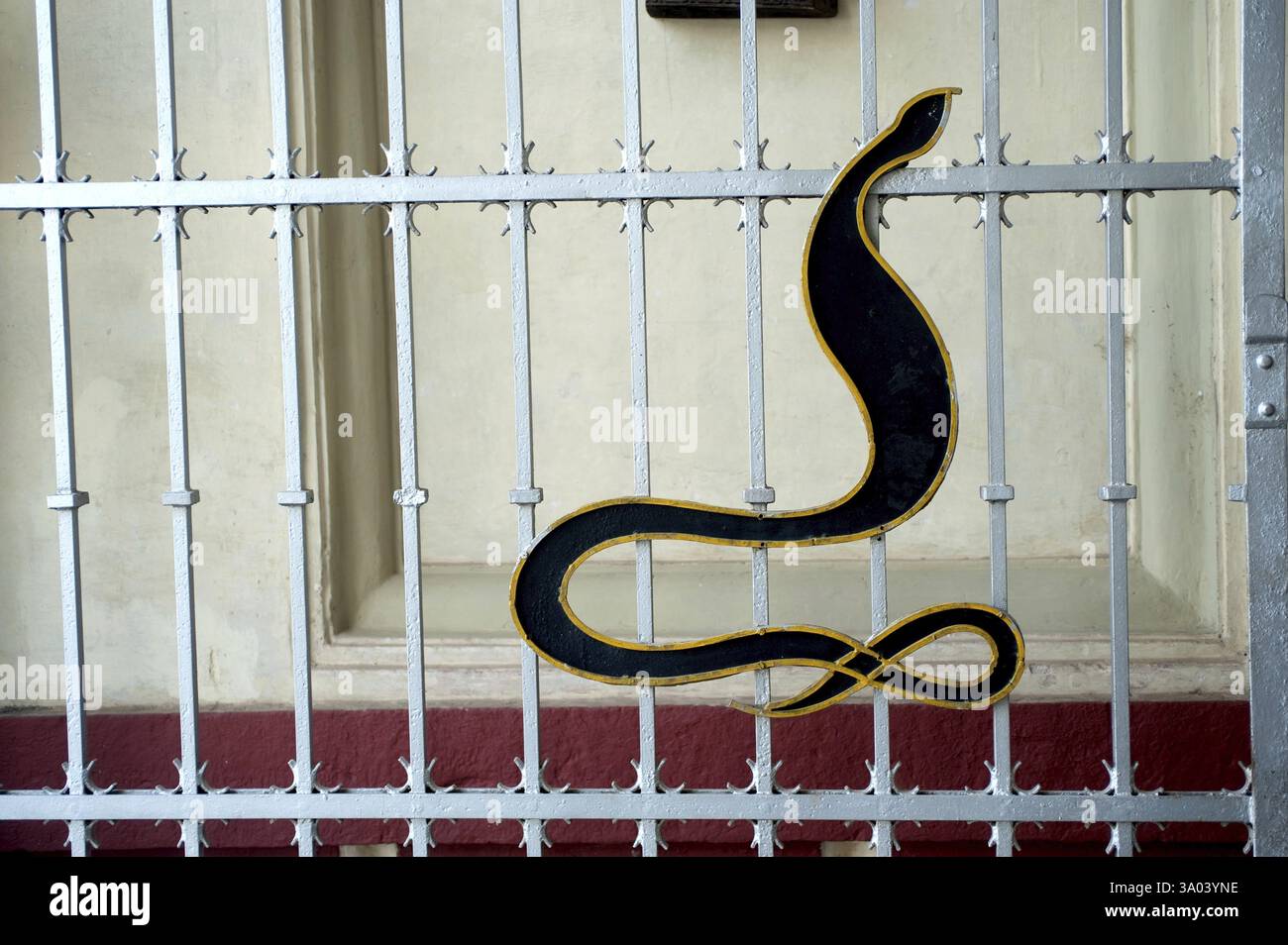 Form of snake on gate in scindia museum of jaivilas palace, Gwalior ...