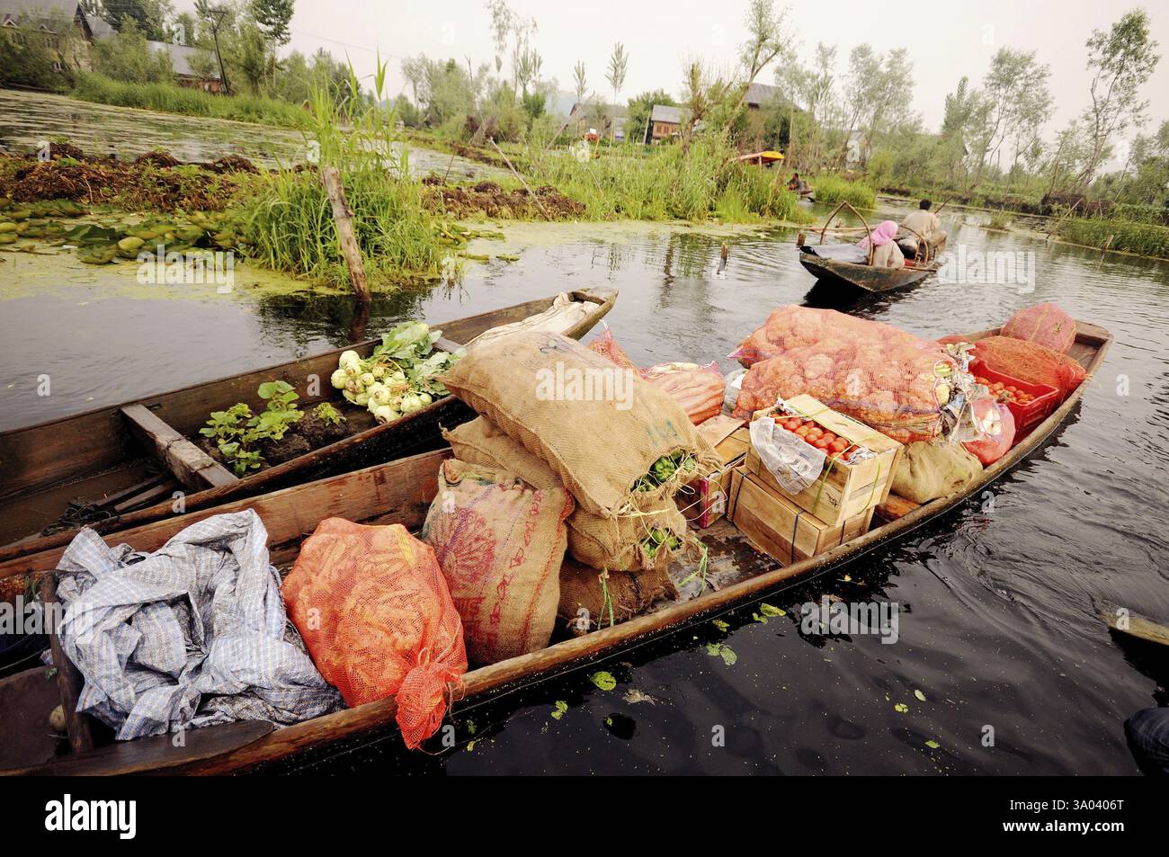 Vegetables on canoe in dal lake, Srinagar, Jammu and Kashmir, India ...