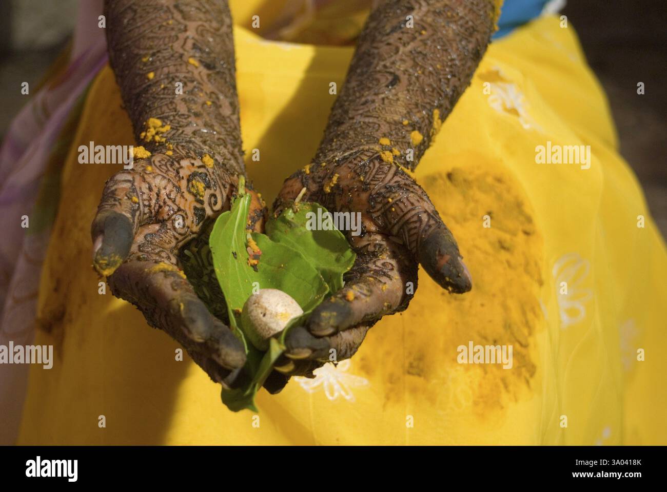 Mehendi and Betel Leaves with Betel in bride hand palm, Marriage ...