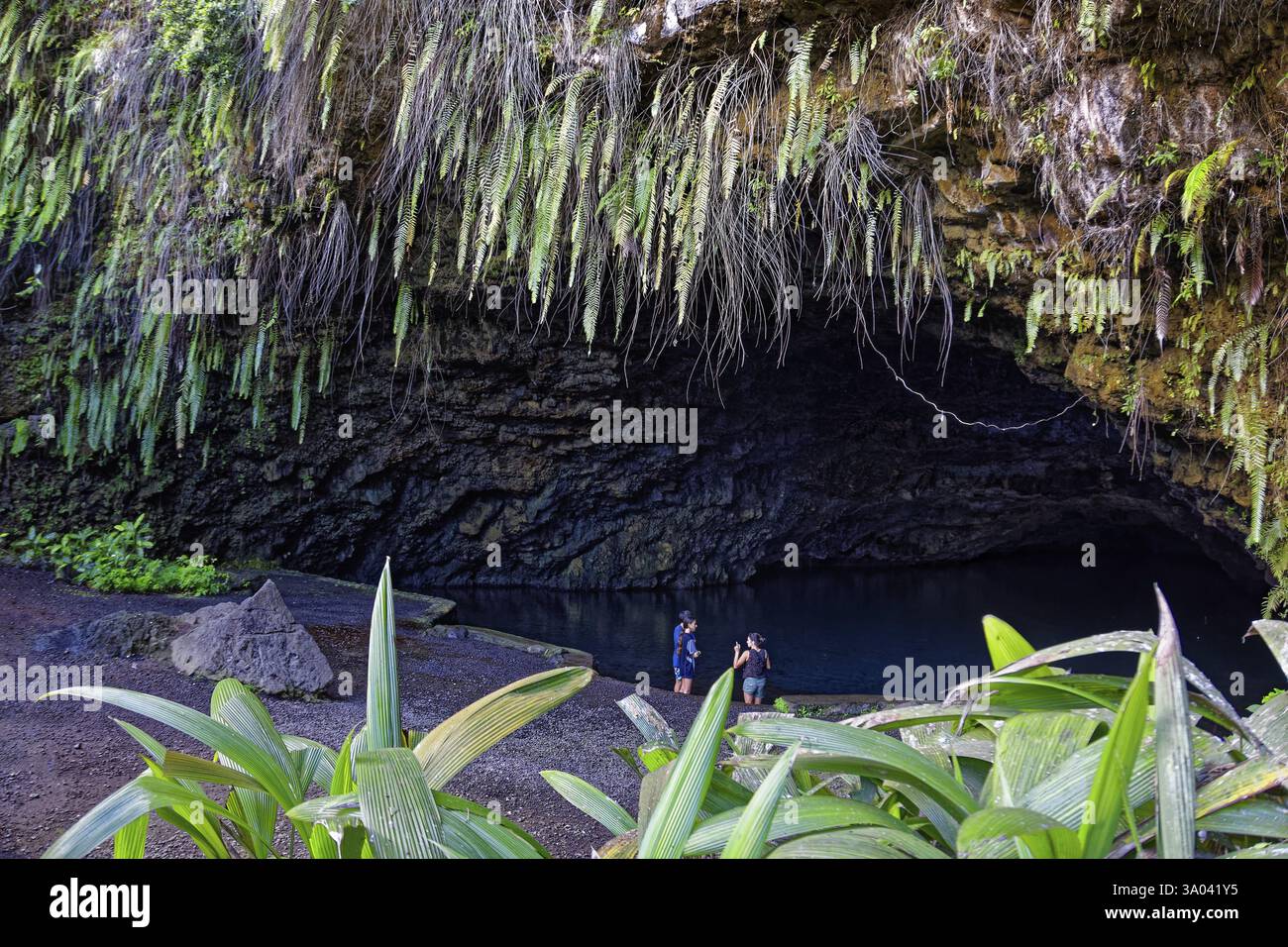 Grotto, filled with water, plants, different, various, three tourists ...