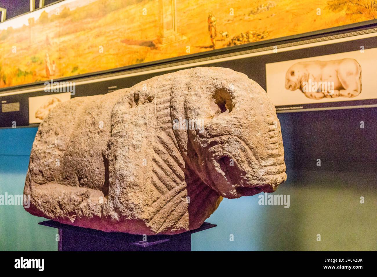 Bull of Monforte, 500 BC, archaeological and history museum of Elche ...