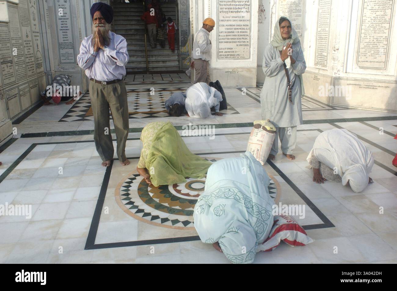 Sikh praying at golden temple, Amritsar, Punjab, India, Asia Stock Photo - Alamy