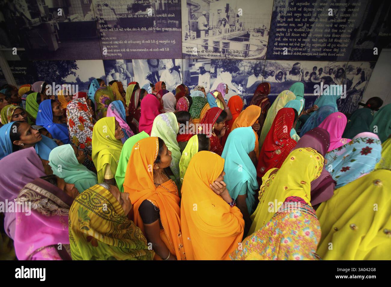 Women workforce wearing colourful saris at Amul factory in Anand ...