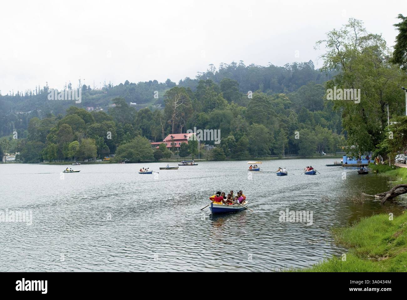 Boating in Kodai lake, Kodaikanal popularly known as Kodai, Tamil Nadu ...