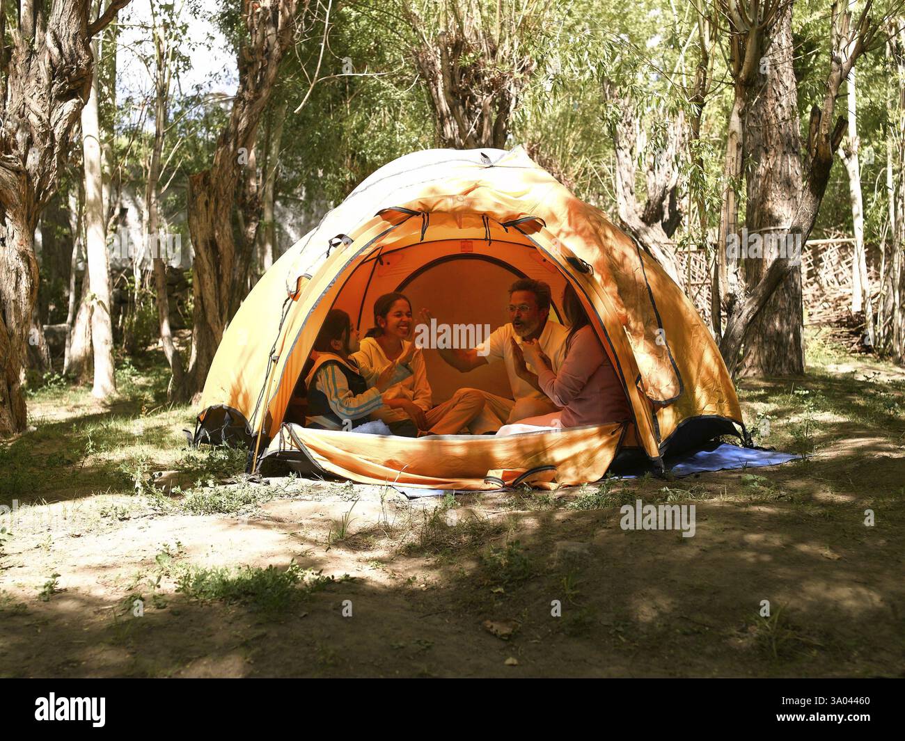 Family Tented Campsite, Saboo, Ladakh, Jammu And Kashmir, India, Asia ...