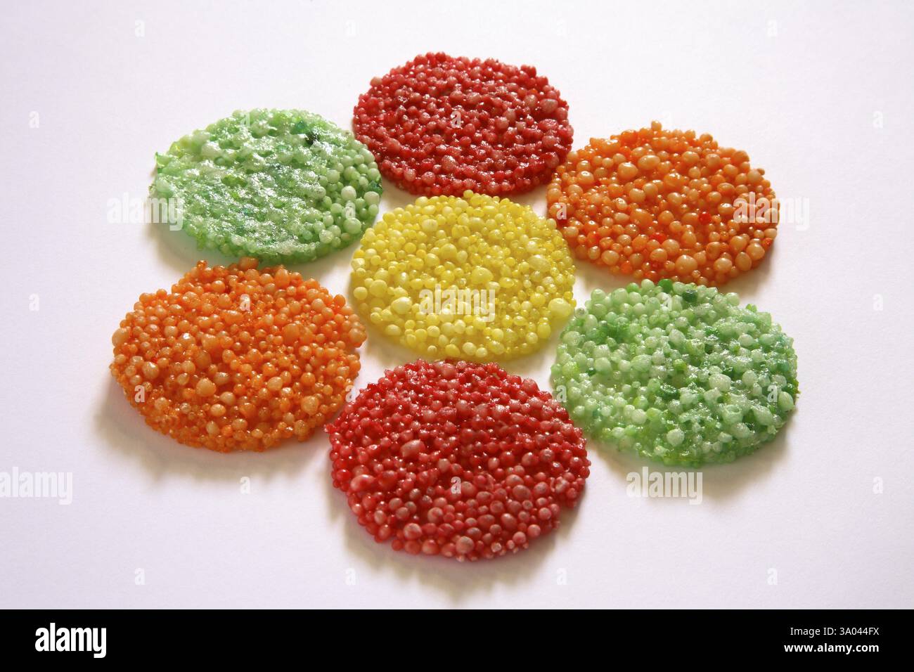 Colourful raw sabudana papad poppadom sago cycas circinalis metroxylon ...