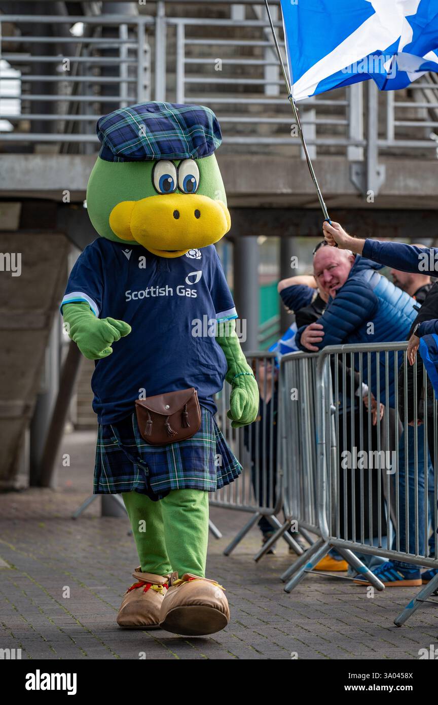 Lochie, the SRU mascot walks alongside fans waiting to see the teams ...