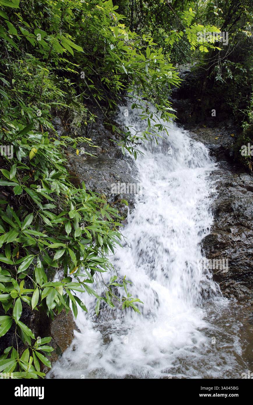 A waterfall during monsoon near Coonoor, Nilgiris, Tamil Nadu, India ...