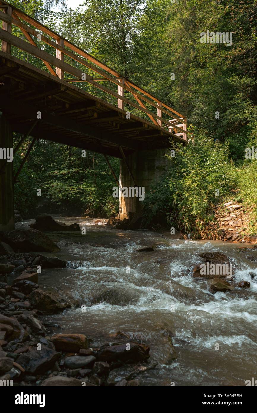 An ancient, weathered bridge spans a deep gorge, with dense forest on ...