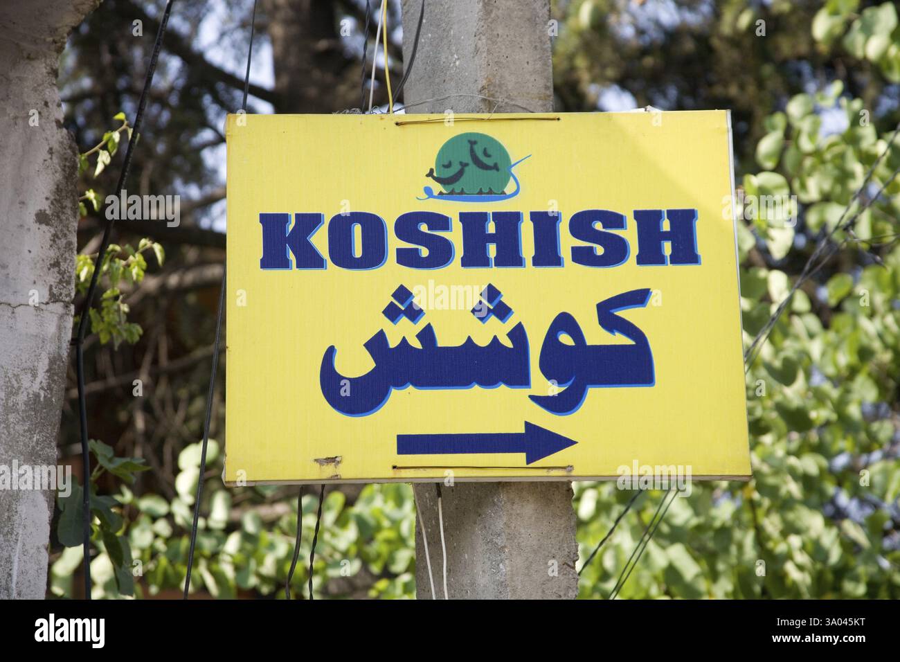 Koshish written in roman and urdu script signboard, Srinagar, Jammu and Kashmir, India, Asia ...