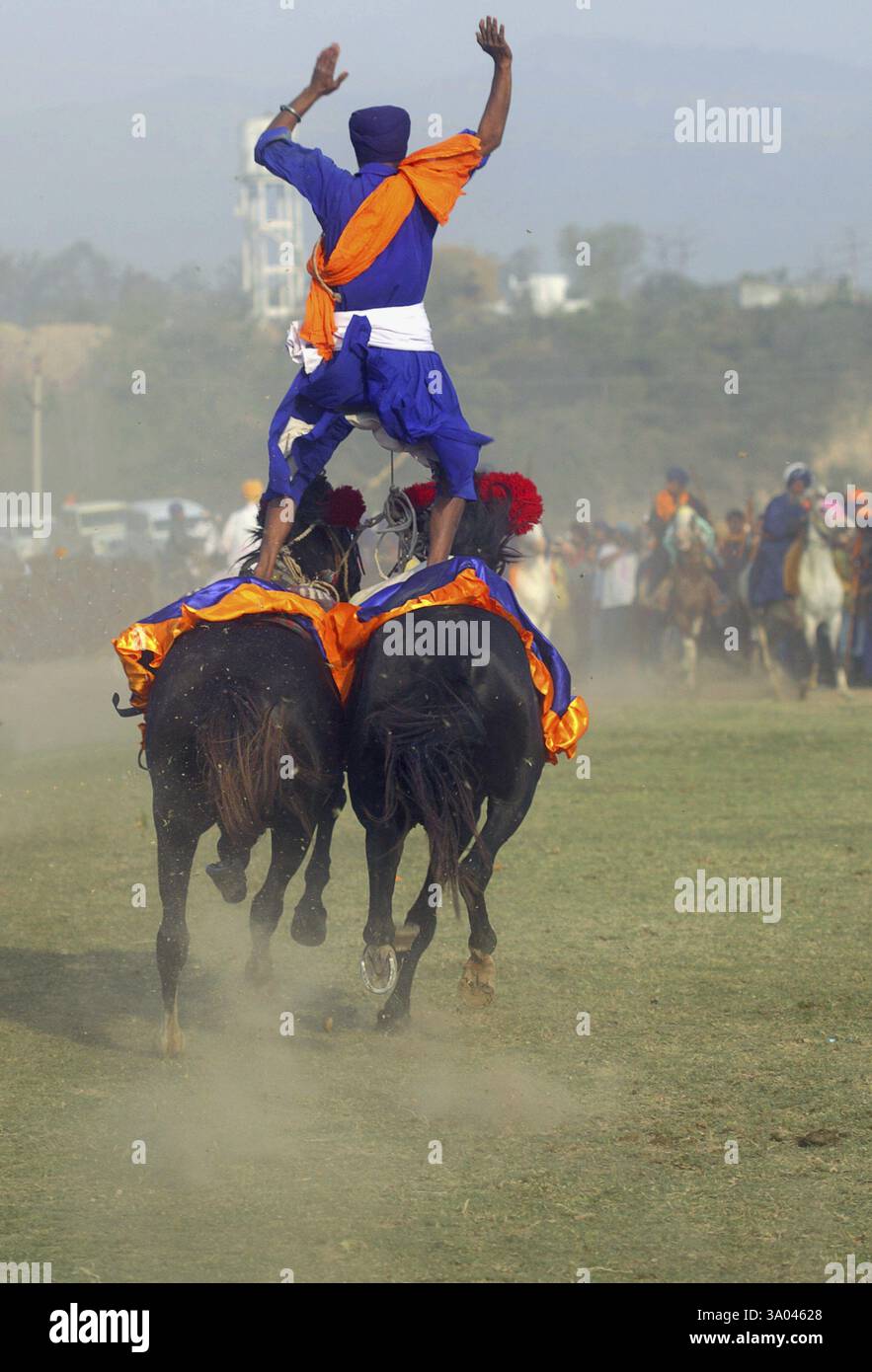 Sikh warrior balancing on horse running in hola mohalla festival ...