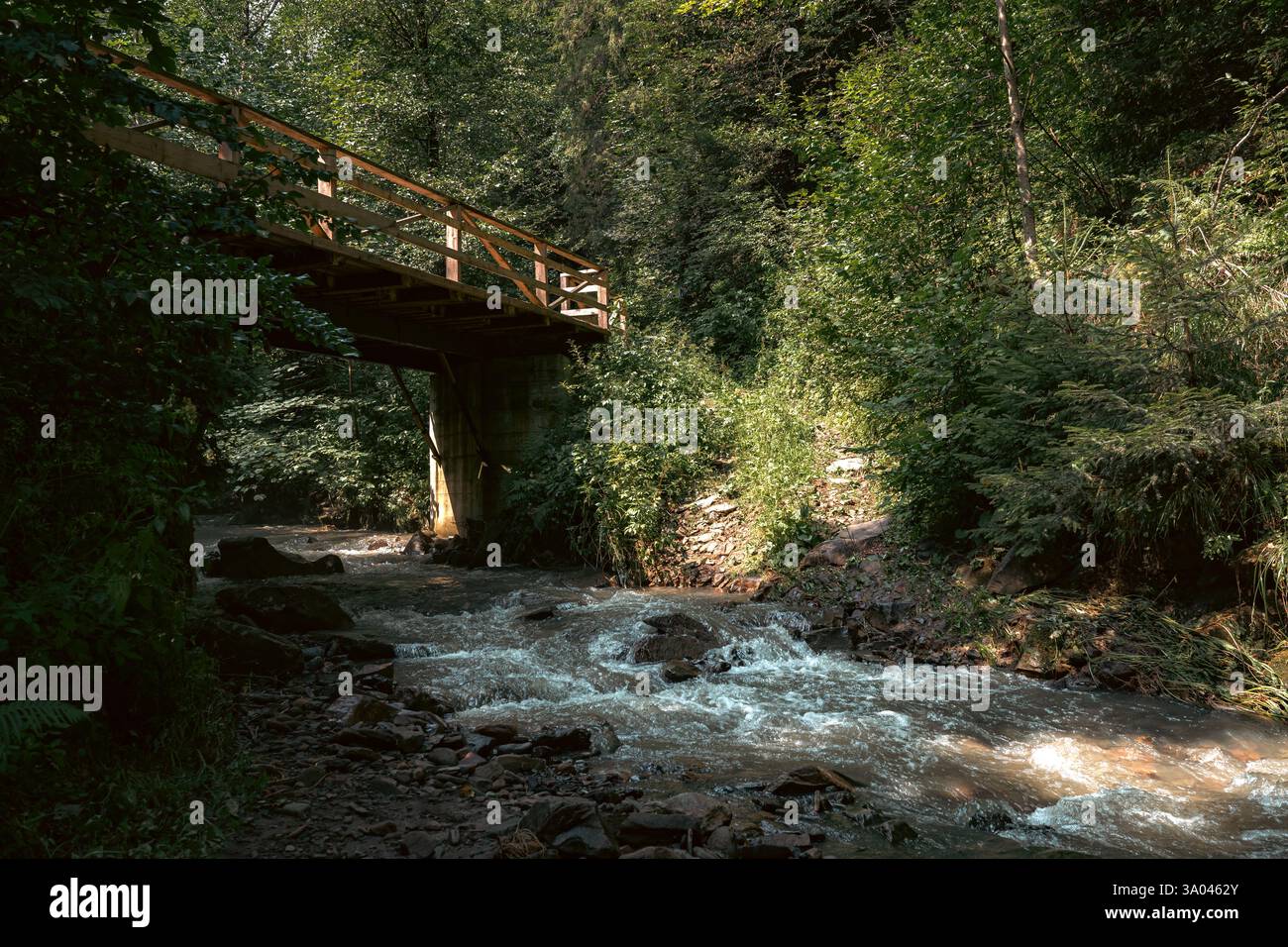 An ancient, weathered bridge spans a deep gorge, with dense forest on ...