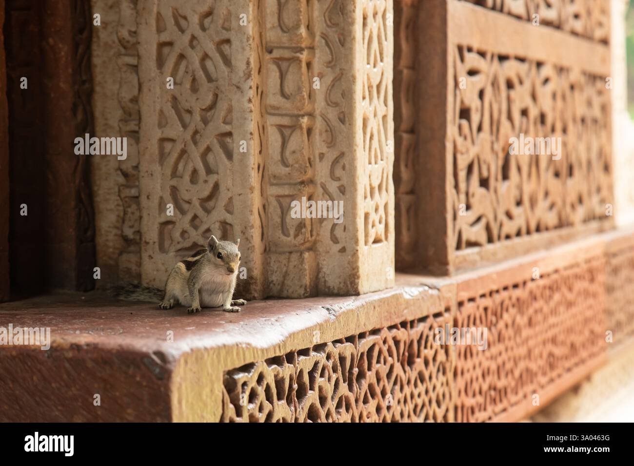 Delhi, India 8-12-2022: Qutub Minar, towering sandstone monument ...