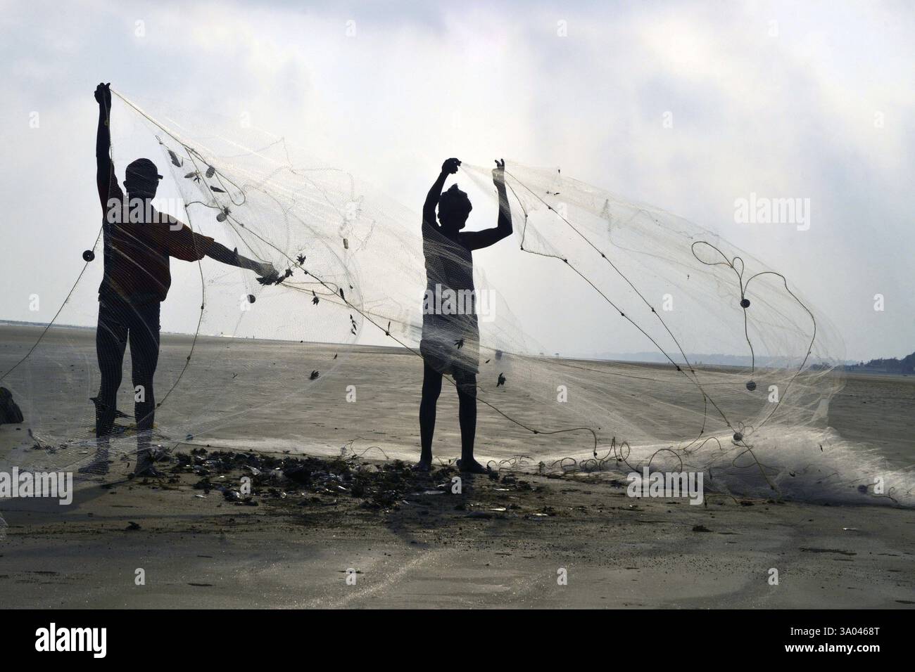 Fisher sorting fish a net on the beach of Mandarmoni Kolkata West ...
