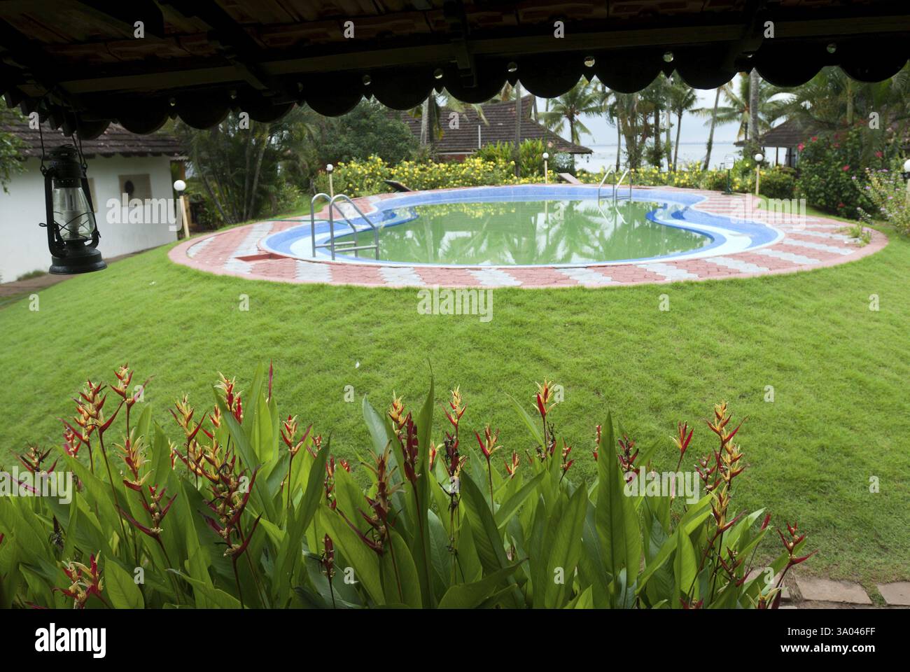 Swimming pool in heritage lake resort, Kuttanad, Alleppey Alappuzha ...