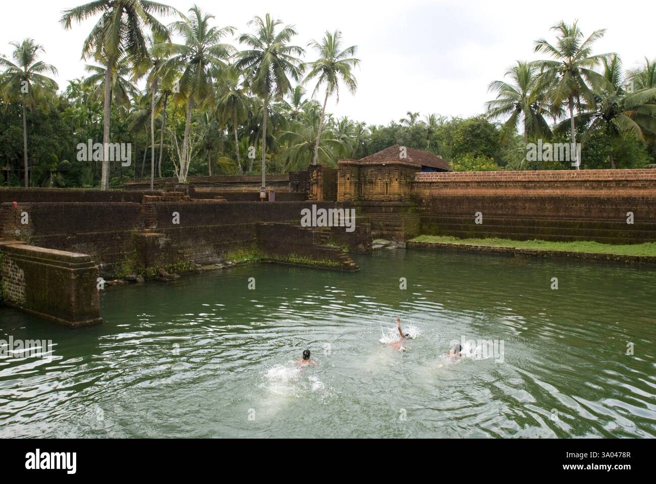 Tank at Chemmanthatta temple, Kerala, India, Asia Stock Photo - Alamy
