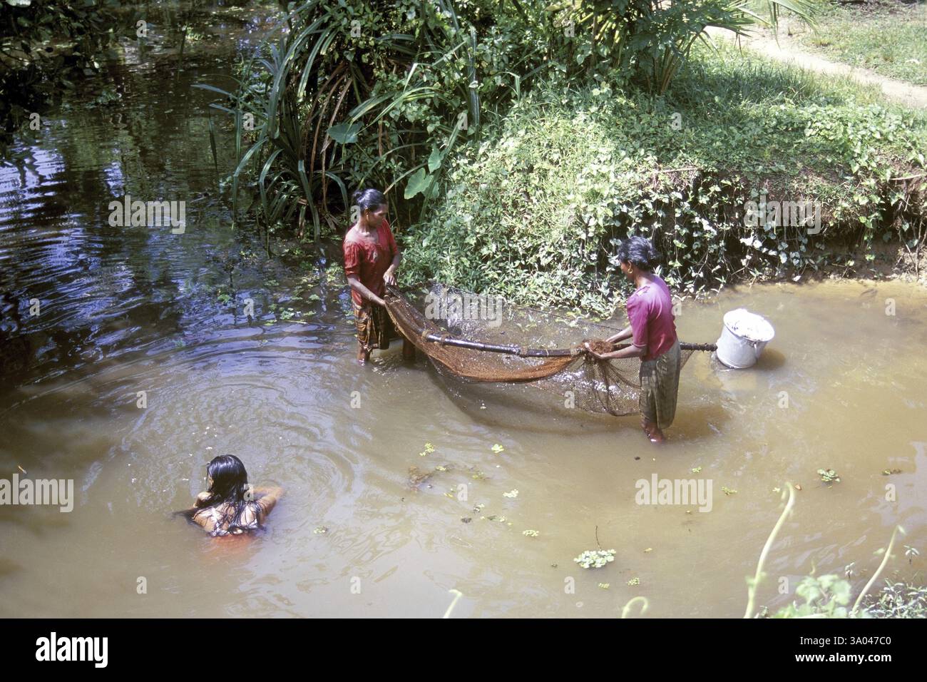 Fishing in Backwaters of Kuttanad, Alappuzha Alleppey, Kerala, India ...
