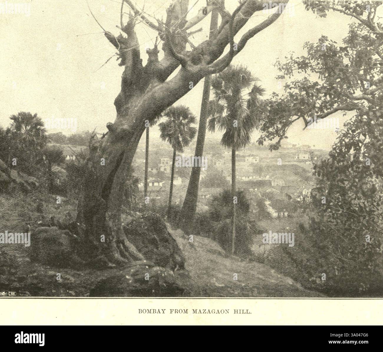 Bombay form Mazagaon hill, Maharashtra, India, Asia Stock Photo - Alamy