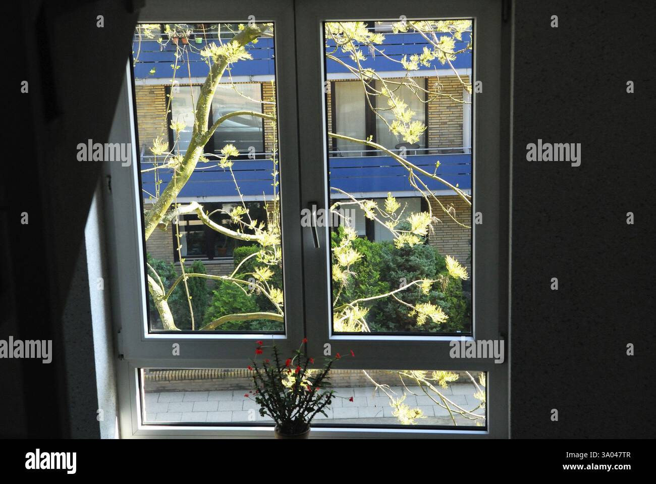 View of neighbourhood from window, Germany, Europe Stock Photo - Alamy
