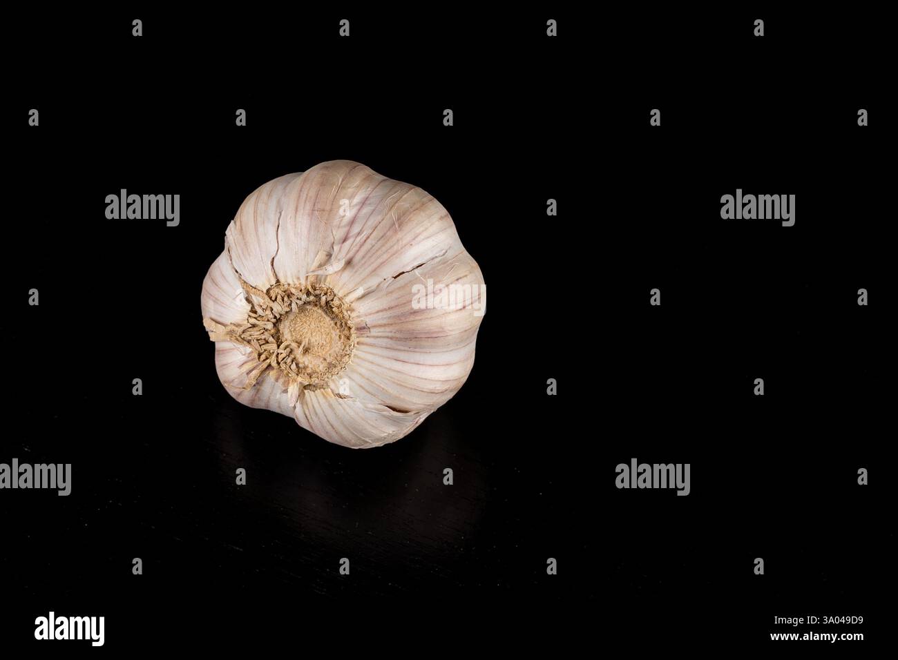 Garlic cap on a black table with reflection on a clean background Stock ...