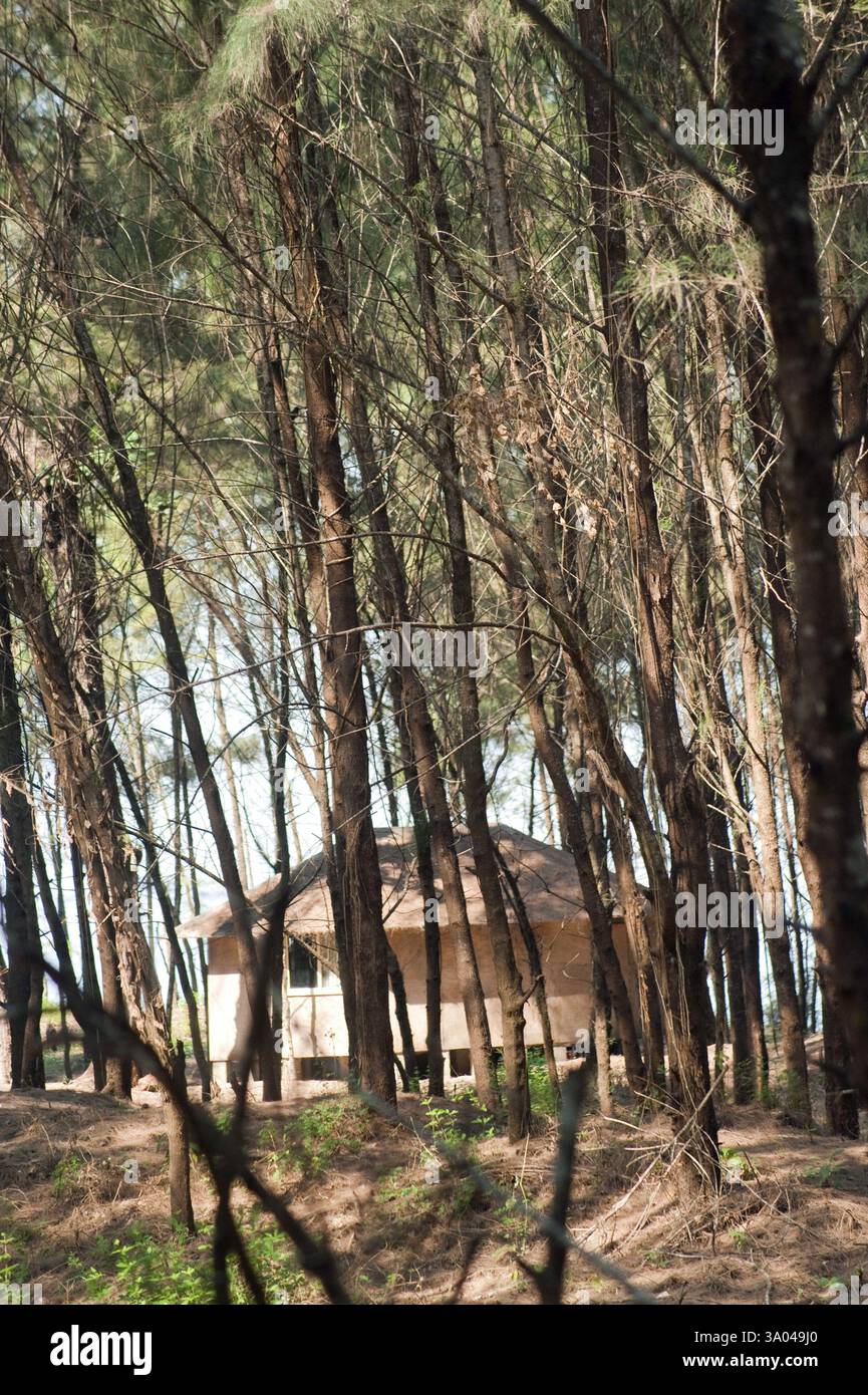 Mtdc resort at sagareshwar ubhadanda near vengurla sindhudurg ...