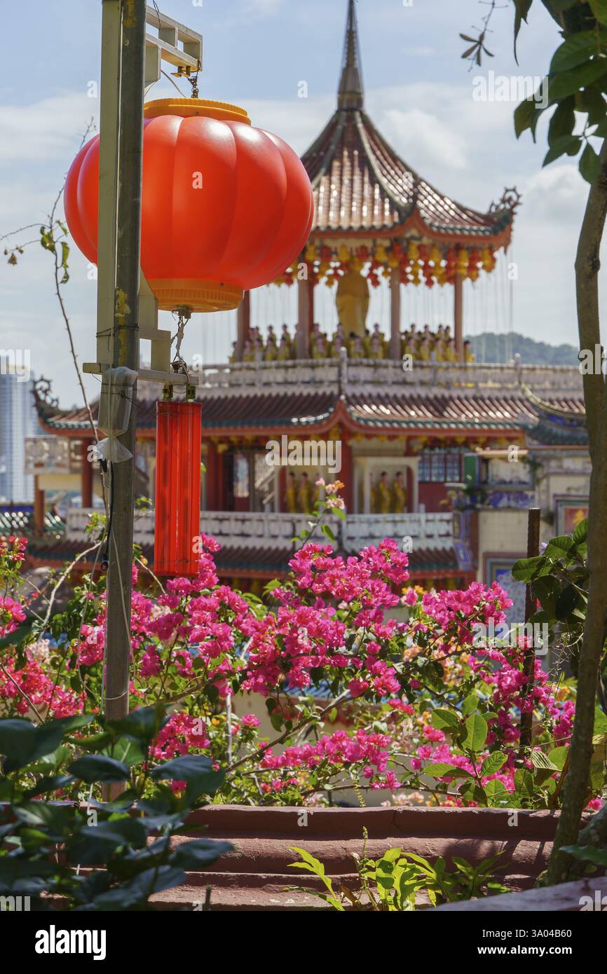 Red lantern in front of blooming flowers with traditional temple ...