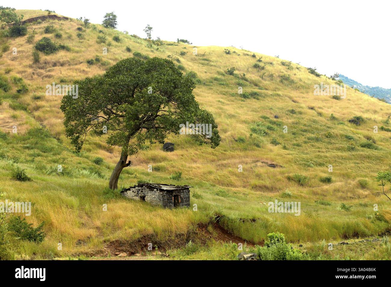 Purandar Fort, PUNE, Maharashtra, INDIA Stock Photo - Alamy