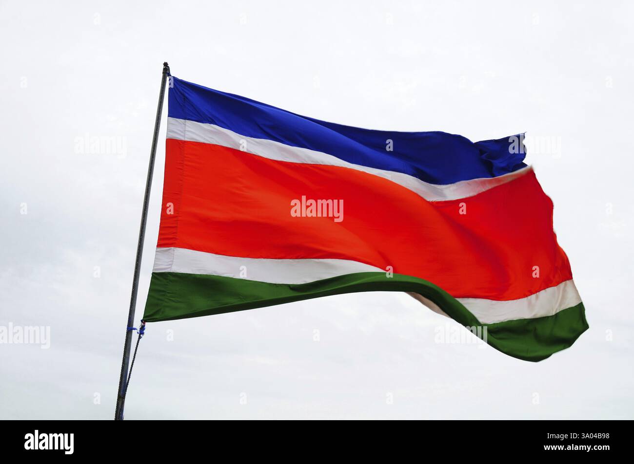 Flag of maharashtra navnirman sena mns, India, Asia Stock Photo - Alamy