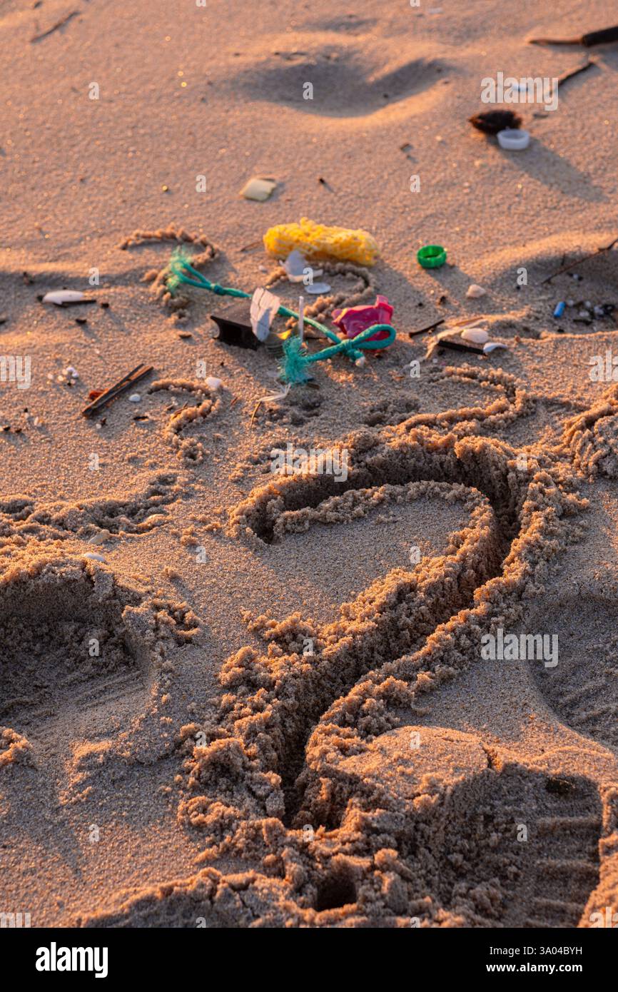 Plastic trash on the beach. Pollution of the environment with plastic ...