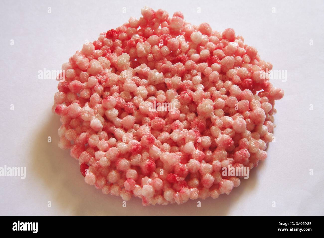 Pink sabudana papad poppadom sago cycas circinalis metroxylon sagu on ...