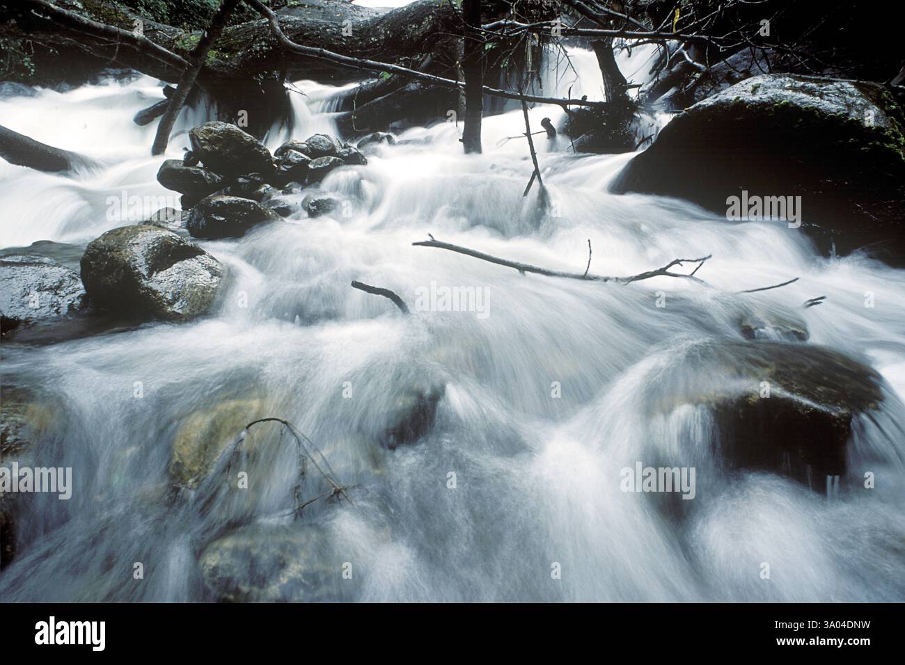 Moyar river falls at Singara near Masinagudi, Ooty, Ootacamund ...