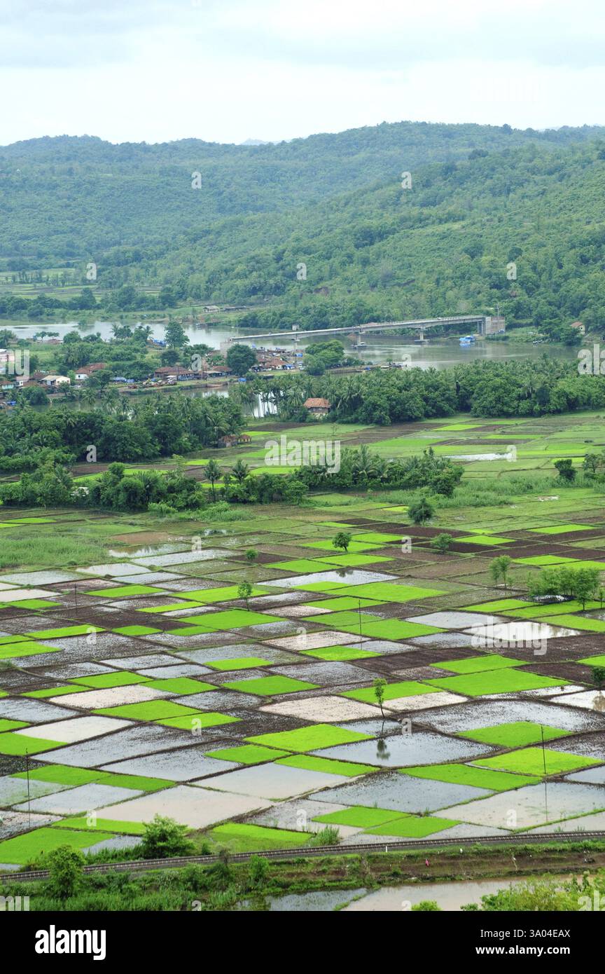 India field aerial drought hi-res stock photography and images - Alamy