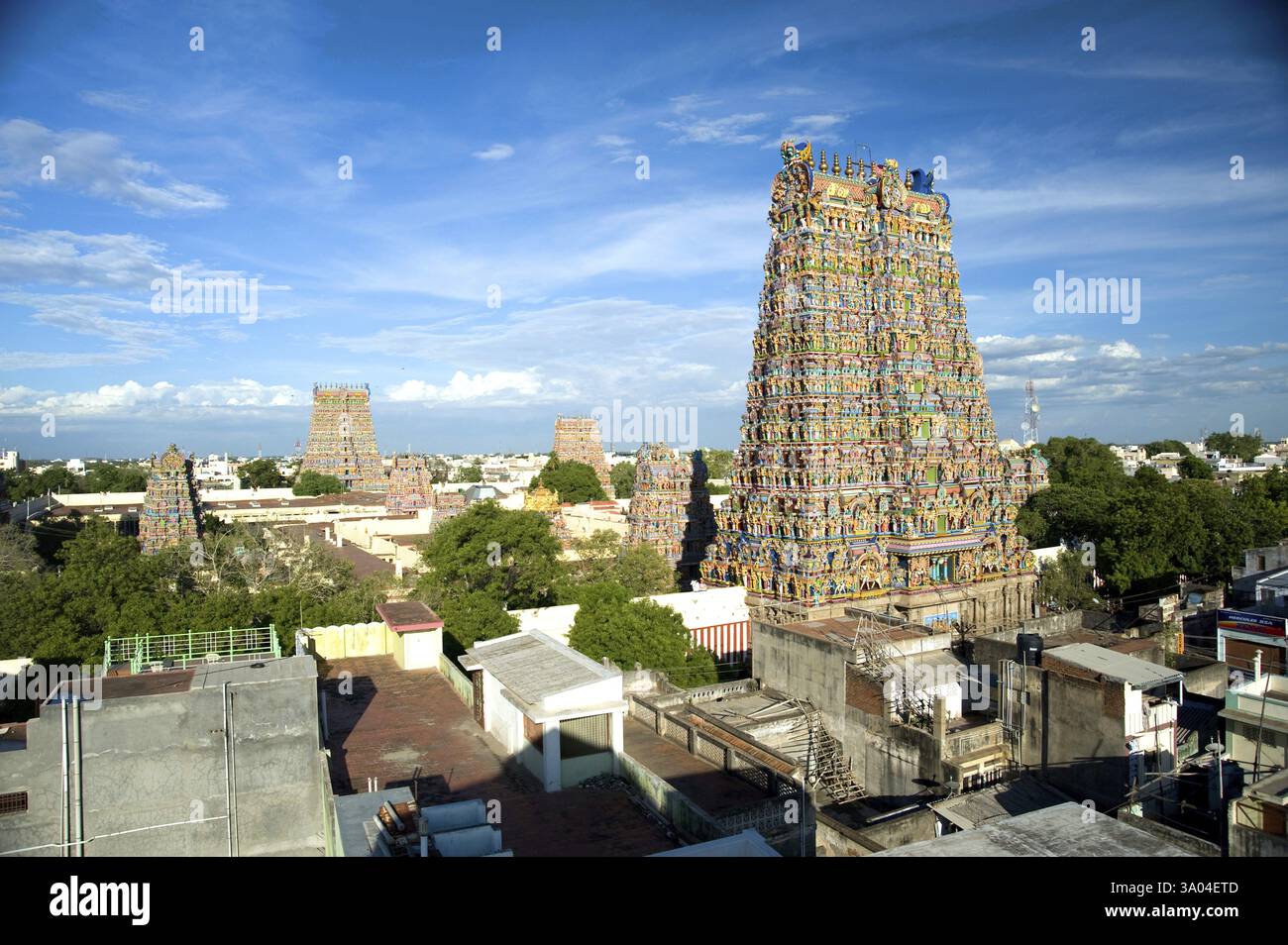 Bamboo, tree, fam-poaceae, branch, branches, Color, Colors, green, hard ...