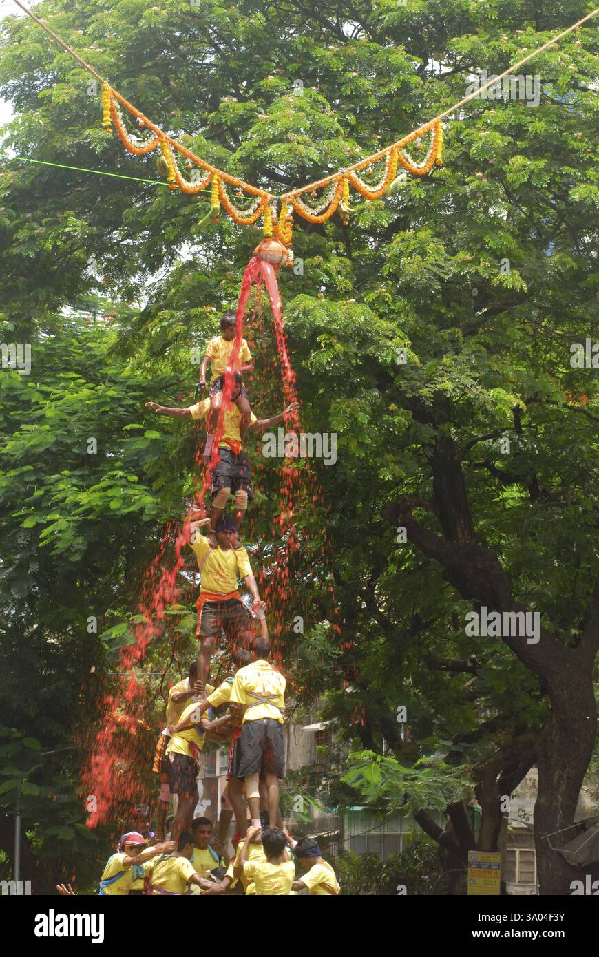 Human pyramid broken dahi handi on janmashtami gokulashtami festival at ...