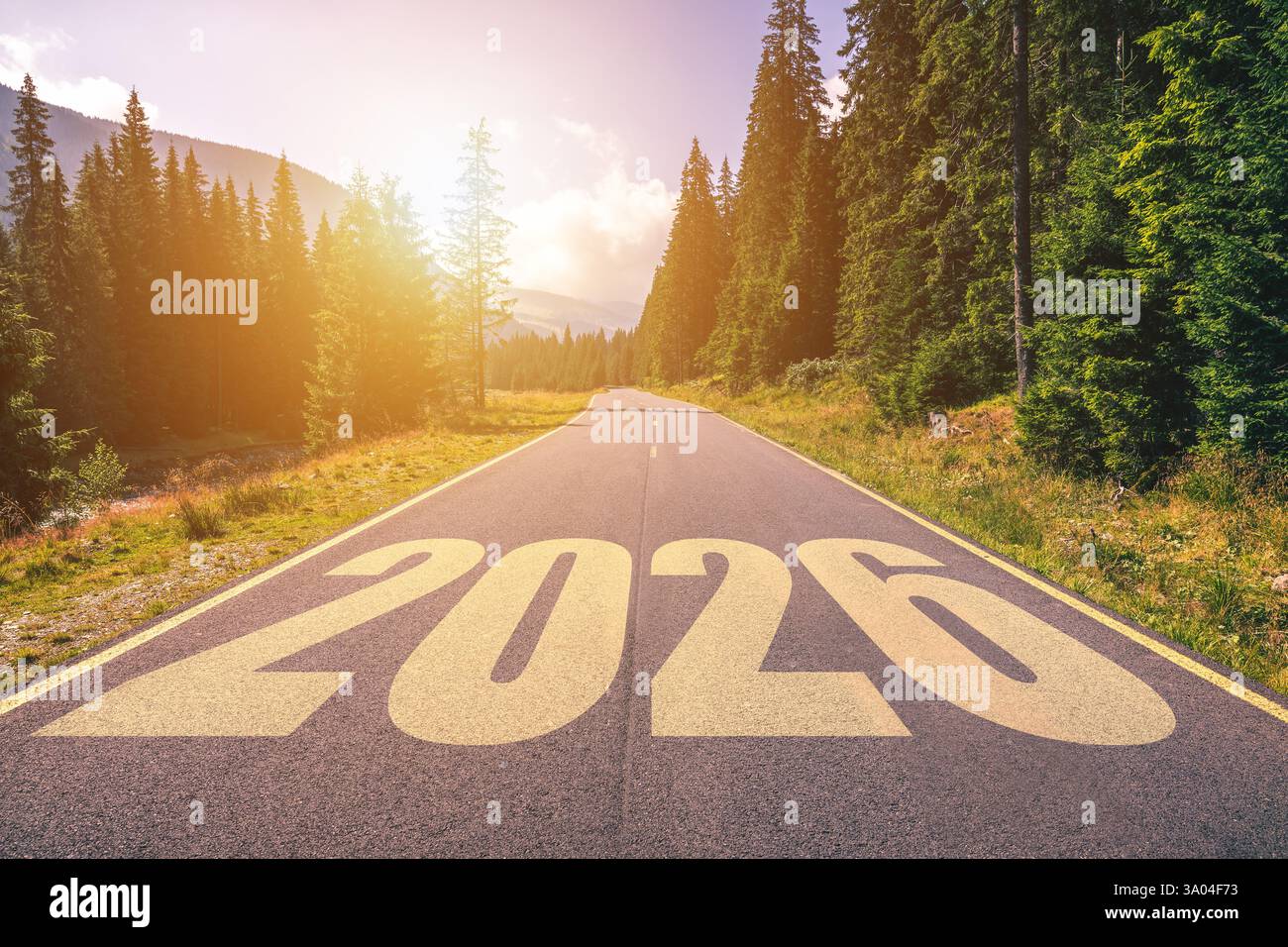 Scenic road through the forest with a bright sun and the year 2026 ...