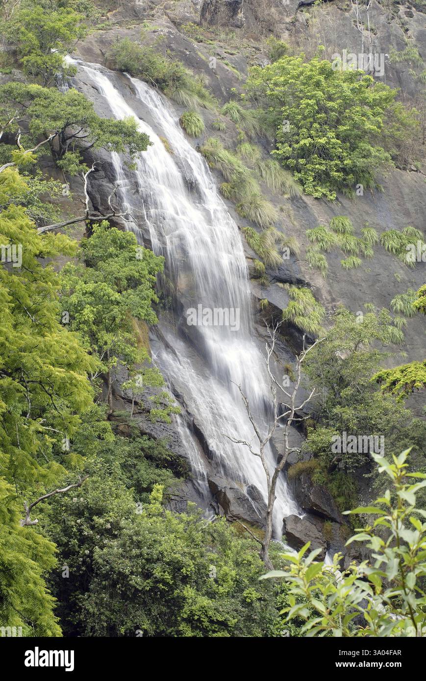 A waterfall during monsoon near Coonoor, Nilgiris, Tamil Nadu, India ...
