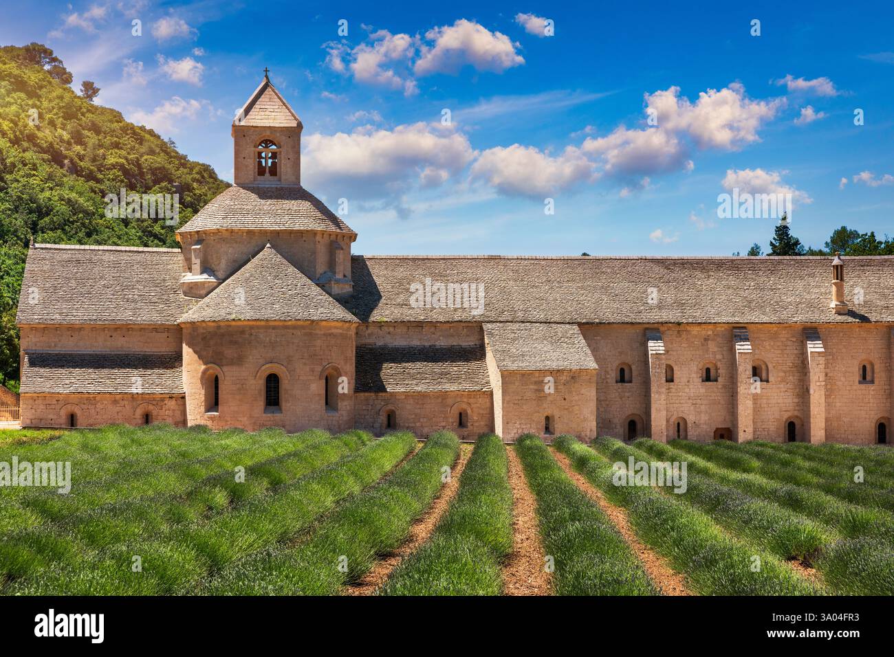 Romanesque Cistercian Abbey of Notre Dame of Senanque set amongst ...