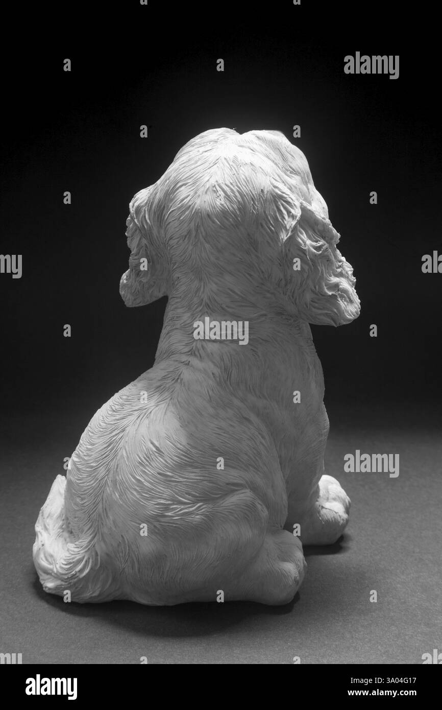 Puppy with toys Black and White Stock Photos & Images - Alamy