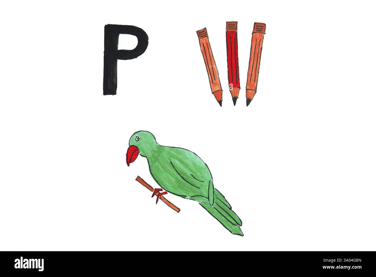 Watercolour painting of alphabet p with parrot and pencil Stock Photo ...