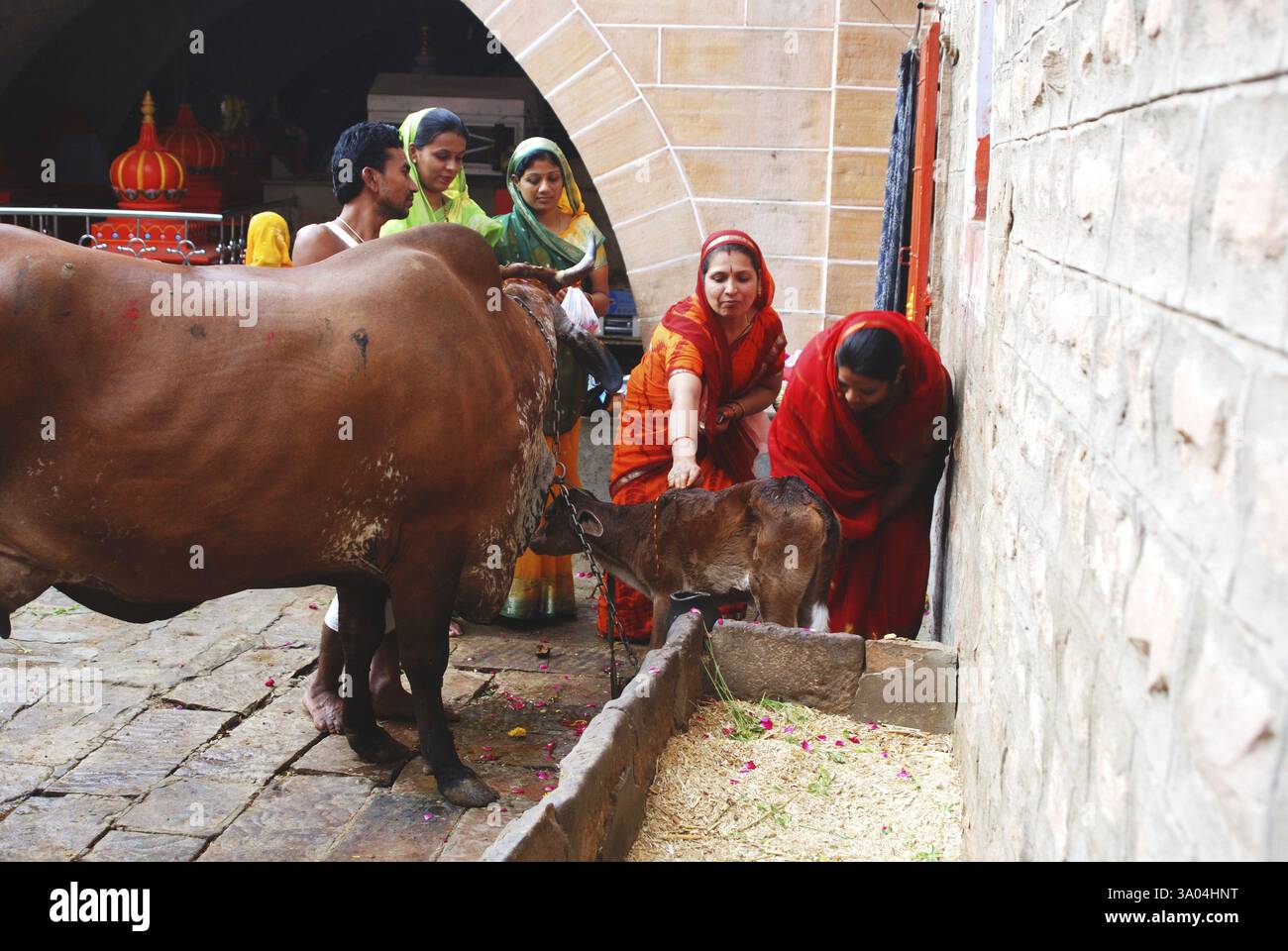 Woman in traditional attire performing rituals in hi-res stock ...