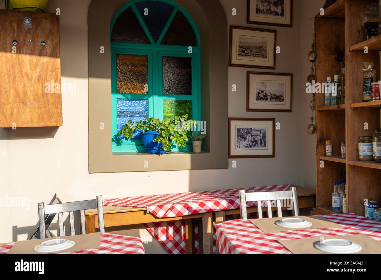 Kos Greece - August 20 2024; Bright green plant in blue pot on ...