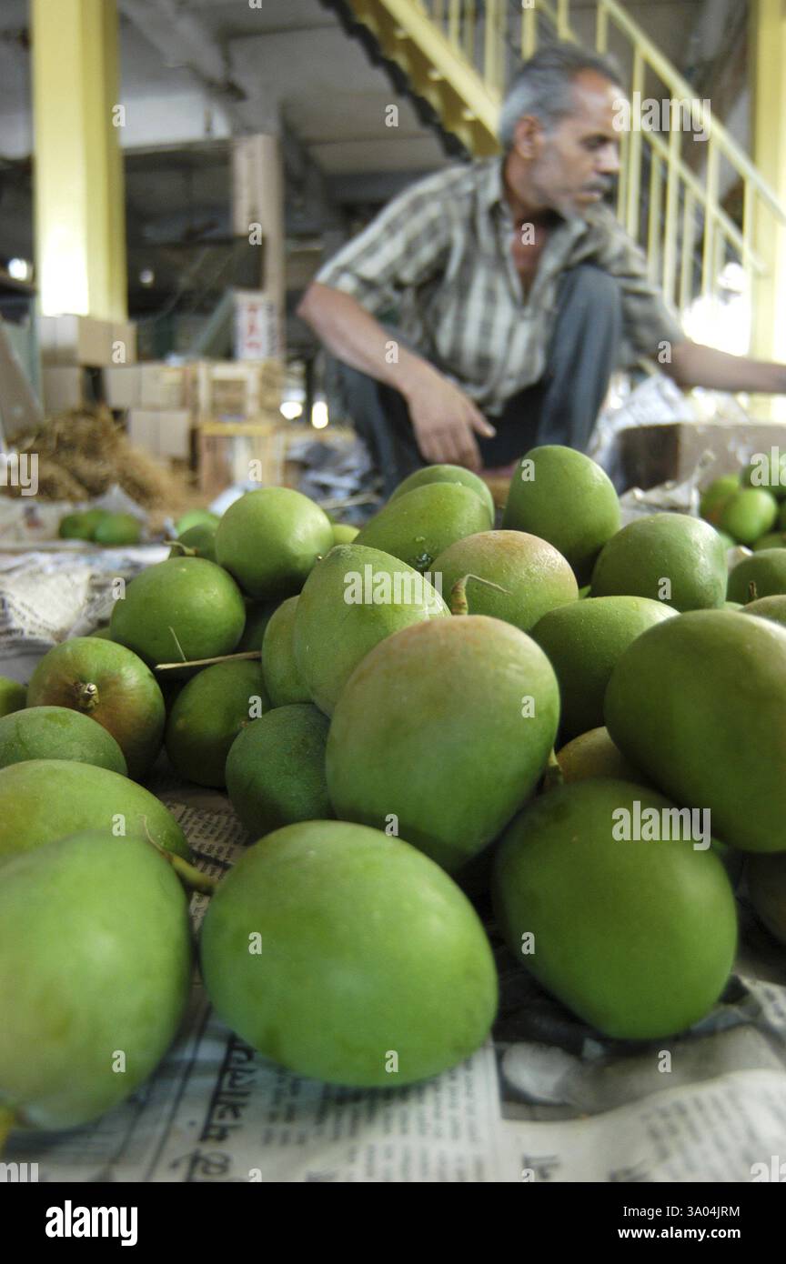Fruits, worker sorting raw alphonso mangoes Stock Photo - Alamy